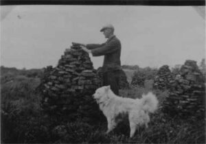 Historien om Dansk Spids – Selskabet for Dansk Spids